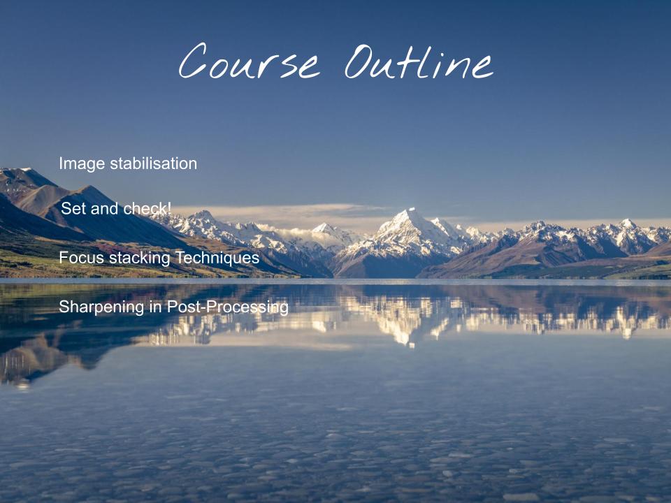 Improve your Focus: How to Get Sharp Shots | Online Photography Course ...