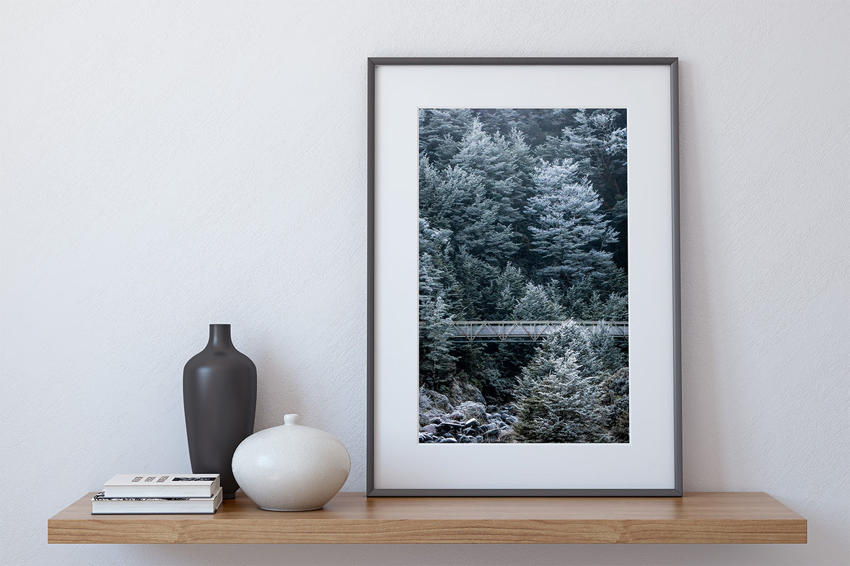 Beech Forest Winter Hoar Frost | Arthurs Pass NZ | Fine Art Prints ...