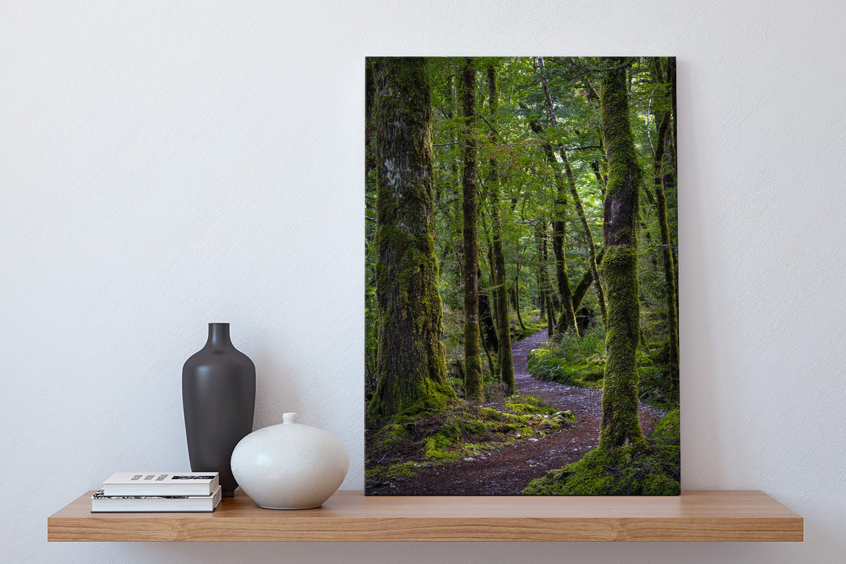 Routeburn Forest Winding Track | Queenstown NZ | Fine Art Prints ...