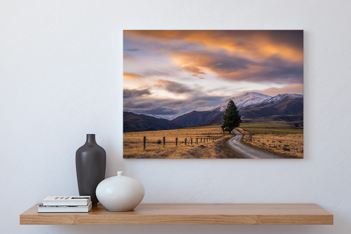 Tree on road to St Bathans | Central Otago | Fine Art Prints | Canvas ...