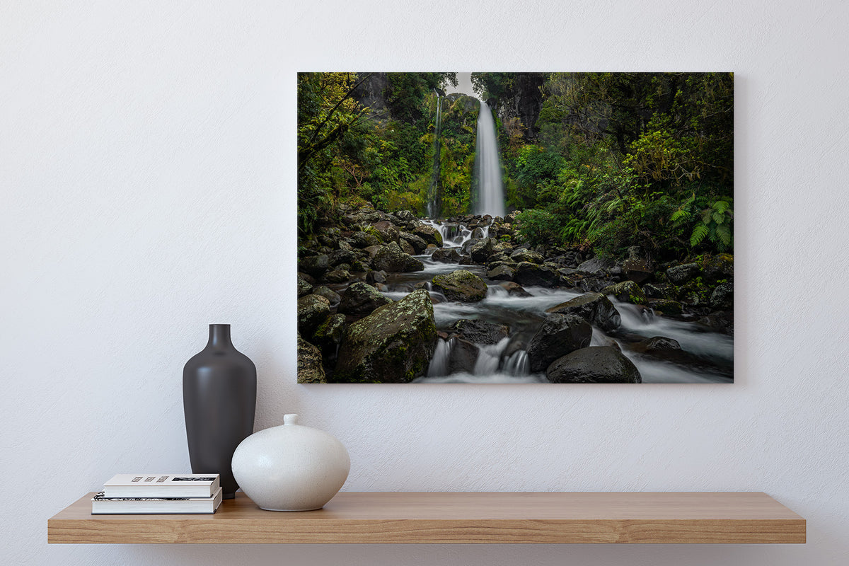 Dawson Falls Fern Fairyland Forest | Taranaki NZ | Fine Art Prints ...